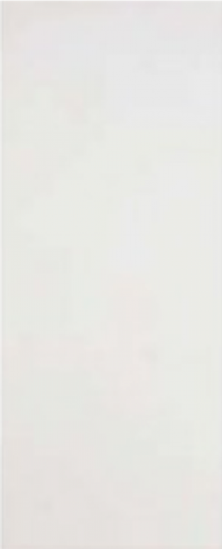 AUSTIN- FLUSH EXTERIOR FIBERGLASS DOOR FIRE RATED DOOR (20 MINUTE) 1-3/4"